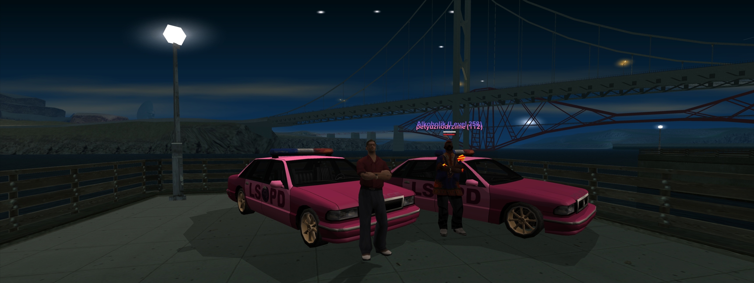 Valentine LSPD