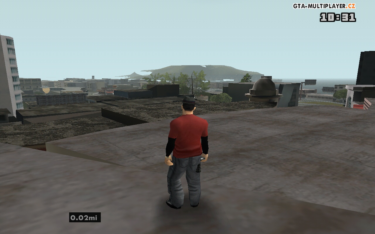 Screenshot from Didier Sachs roof