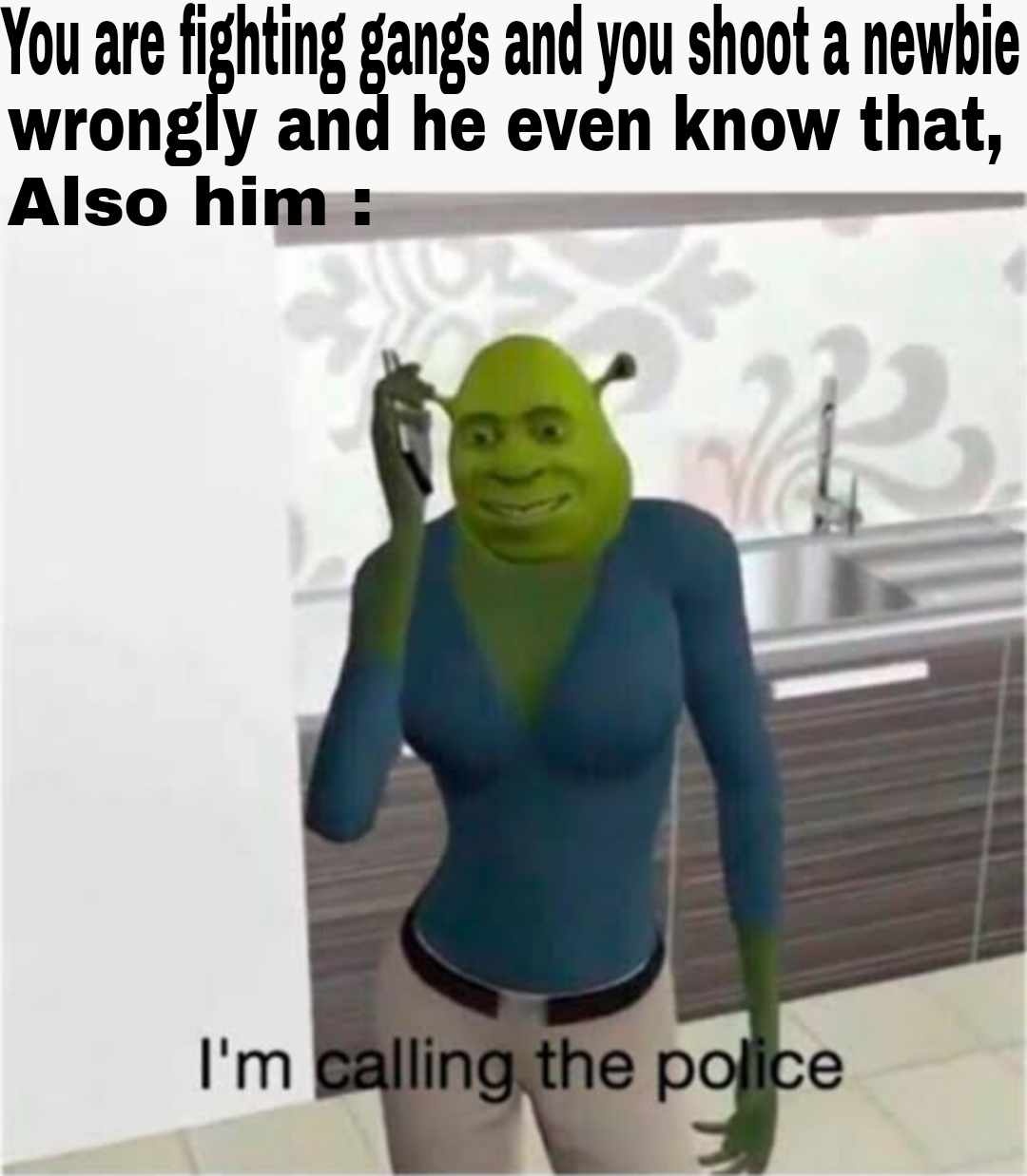 Newbies in wtls be like