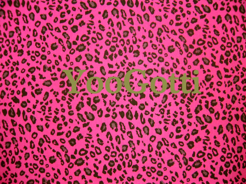 How to set this photo in forum signature